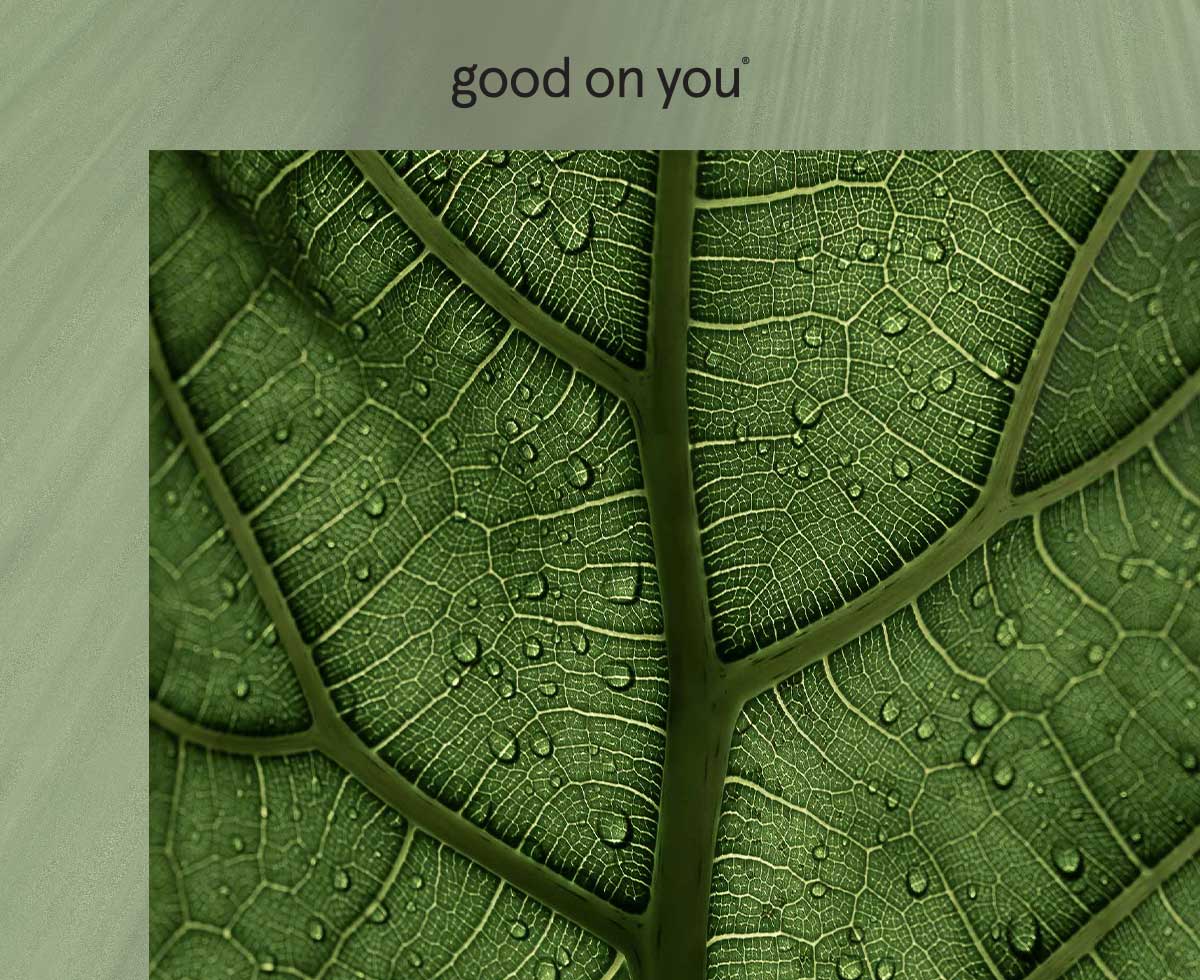 Good On You: Greenwashing Examples: 10 Notorious Fast Fashion Claims ...