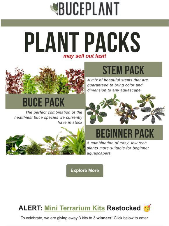 Buce Plant: Which aquatic plant pack best suites your tank? | Milled