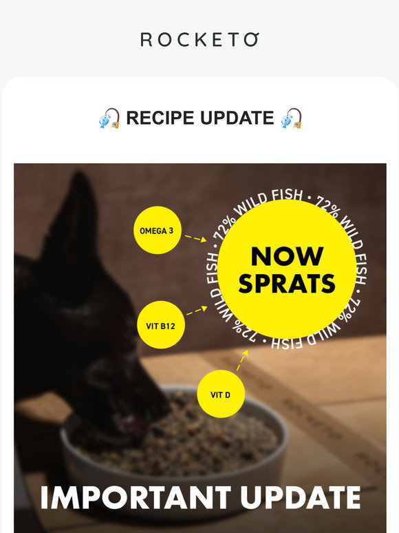 Rocketo: Important update - recipe update | Milled