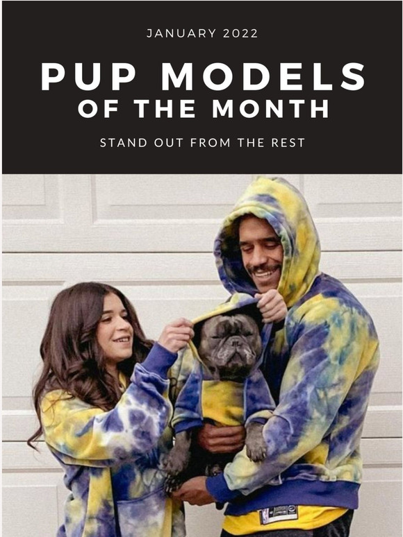 Spark Paws: Pup Models of the Month: Jan Edition | Milled