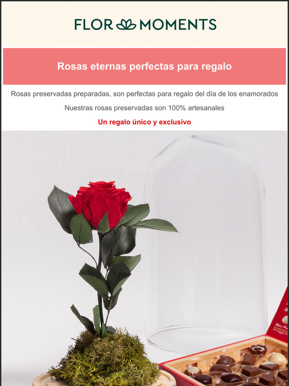 Flor Moments ES: Rosas eternas para San Valentn Reserva la tuya antes ...