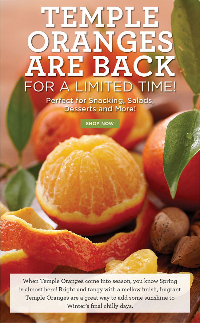 Hale Groves: Temple Oranges are BACK for a Limited Time Only! | Milled