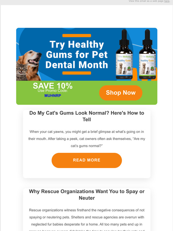 Pet Wellbeing: Do My Cat's Gums Look Normal? Here's How to Tell | Milled