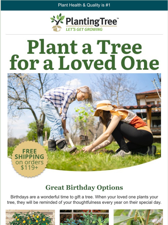 PlantingTree.com: Celebrate Life's Milestones | Milled