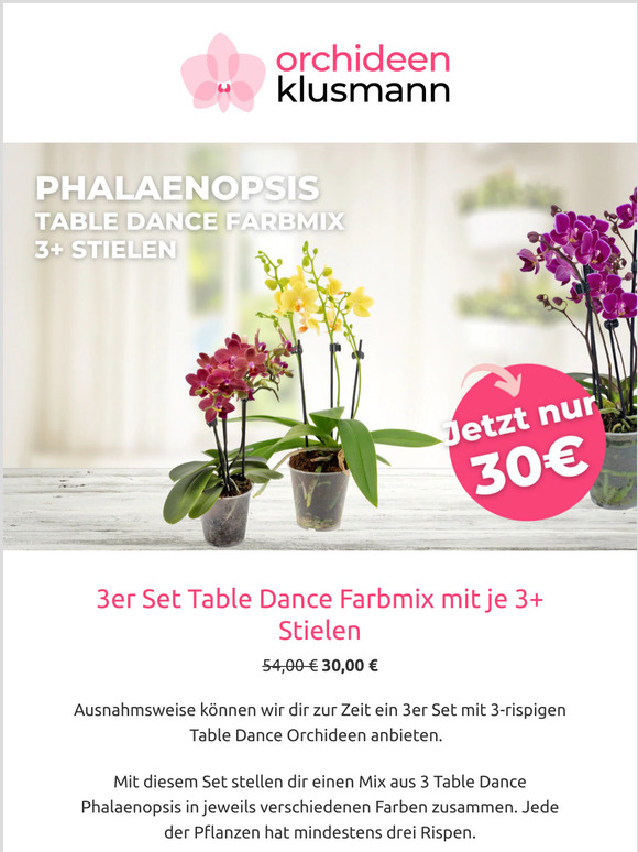 Orchideen Klusmann DE: 3er Set mit 3+ Rispen | Milled