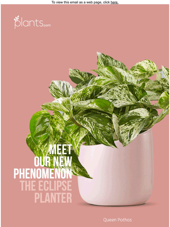 Plants.com: Our Eclipse Planter Is Here! | Milled