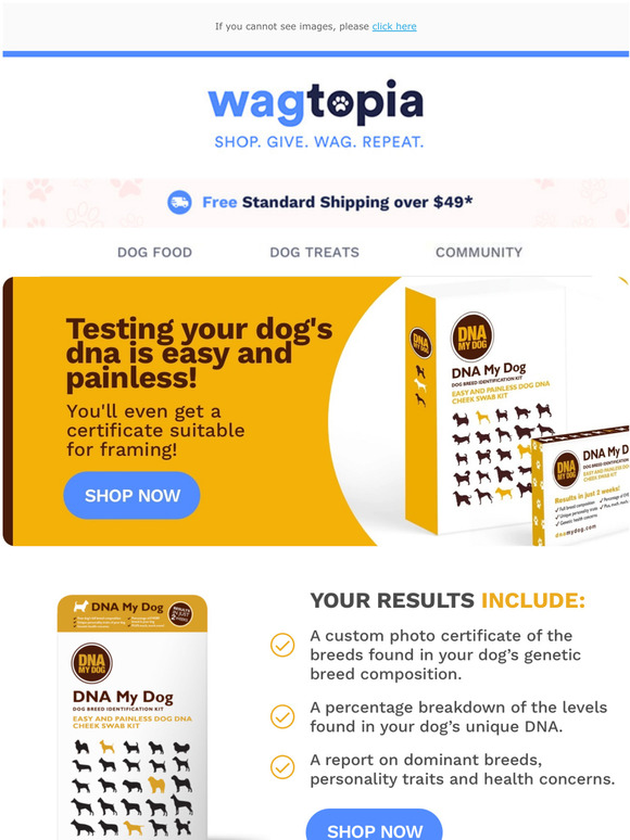Wagtopia: Discover the Story Behind Your Dog | Milled