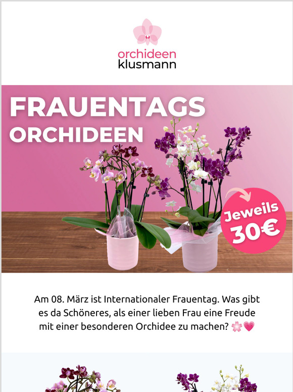 Orchideen Klusmann DE: Orchidee zum Frauentag | Milled