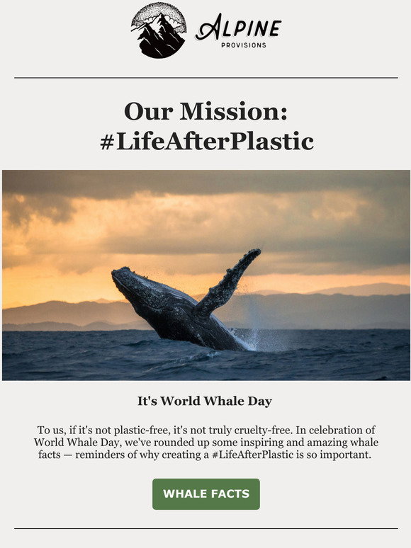 Alpine Provisions: Whale Facts | Milled