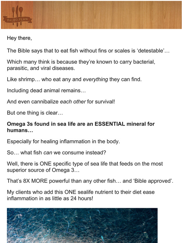 PaleoPlan: Bacteria-Infested food | Milled