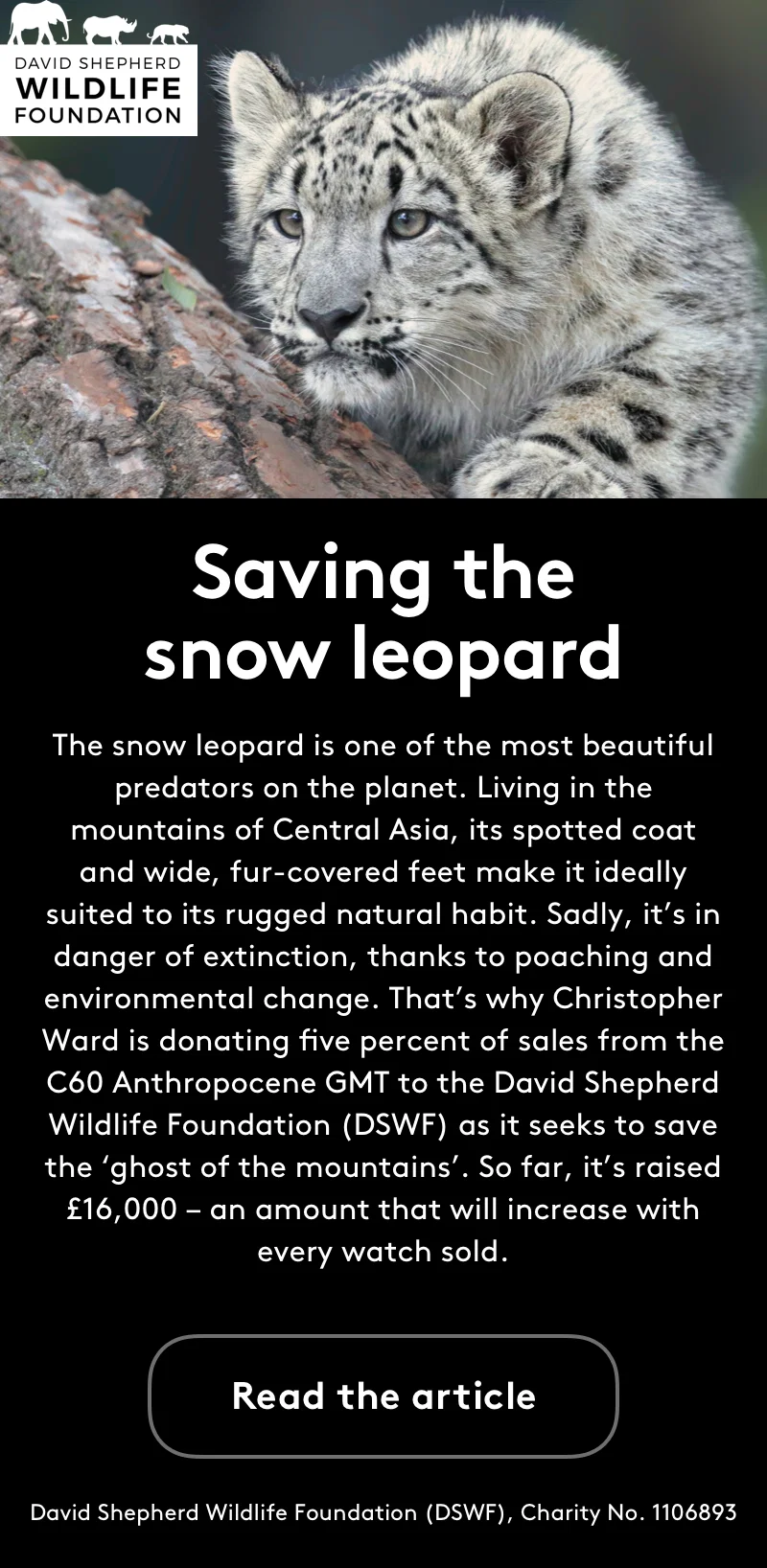 Christopher Ward: How CW helps those fighting to save the snow leopard ...