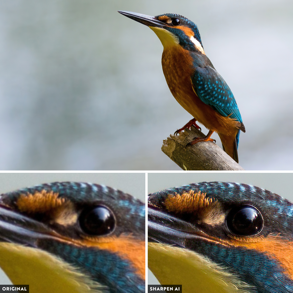 Topaz Labs: This app can fix blurry photos in one click. Sharpen any ...