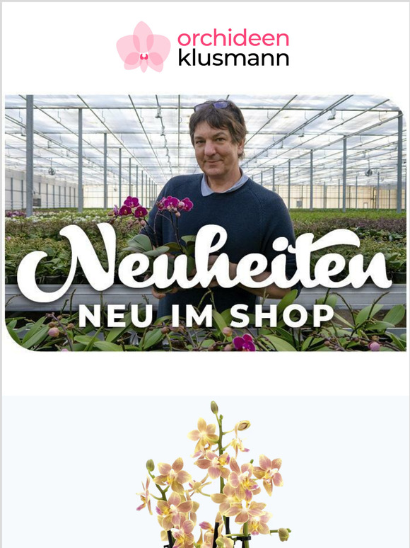 Orchideen Klusmann: Neue Orchideen im Shop! | Milled