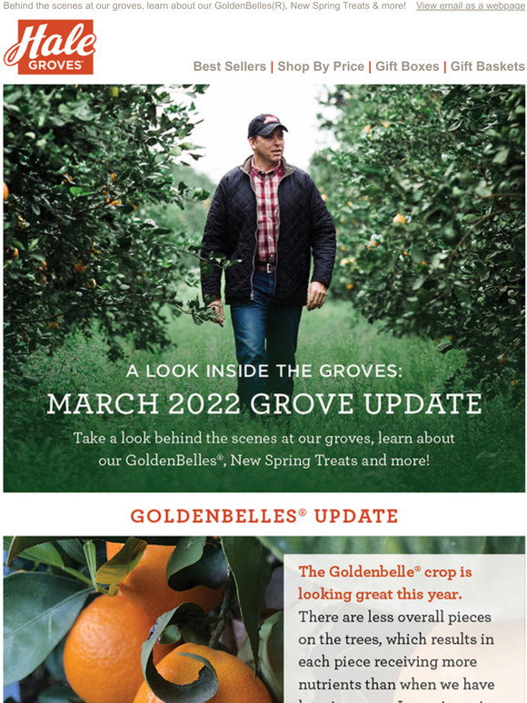 Hale Groves: Here is your March Grove Update and Newsletter! | Milled