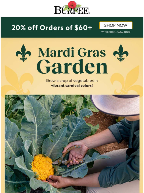 Burpee: Grow the Colors of Mardi Gras! | Milled