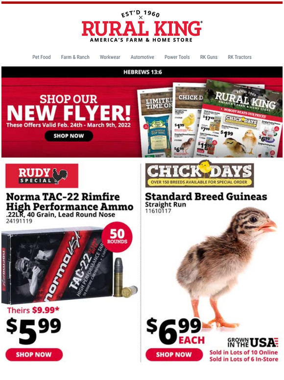 Rural King: Check Out Our Latest Rudy Special & Flyer Deals! | Milled