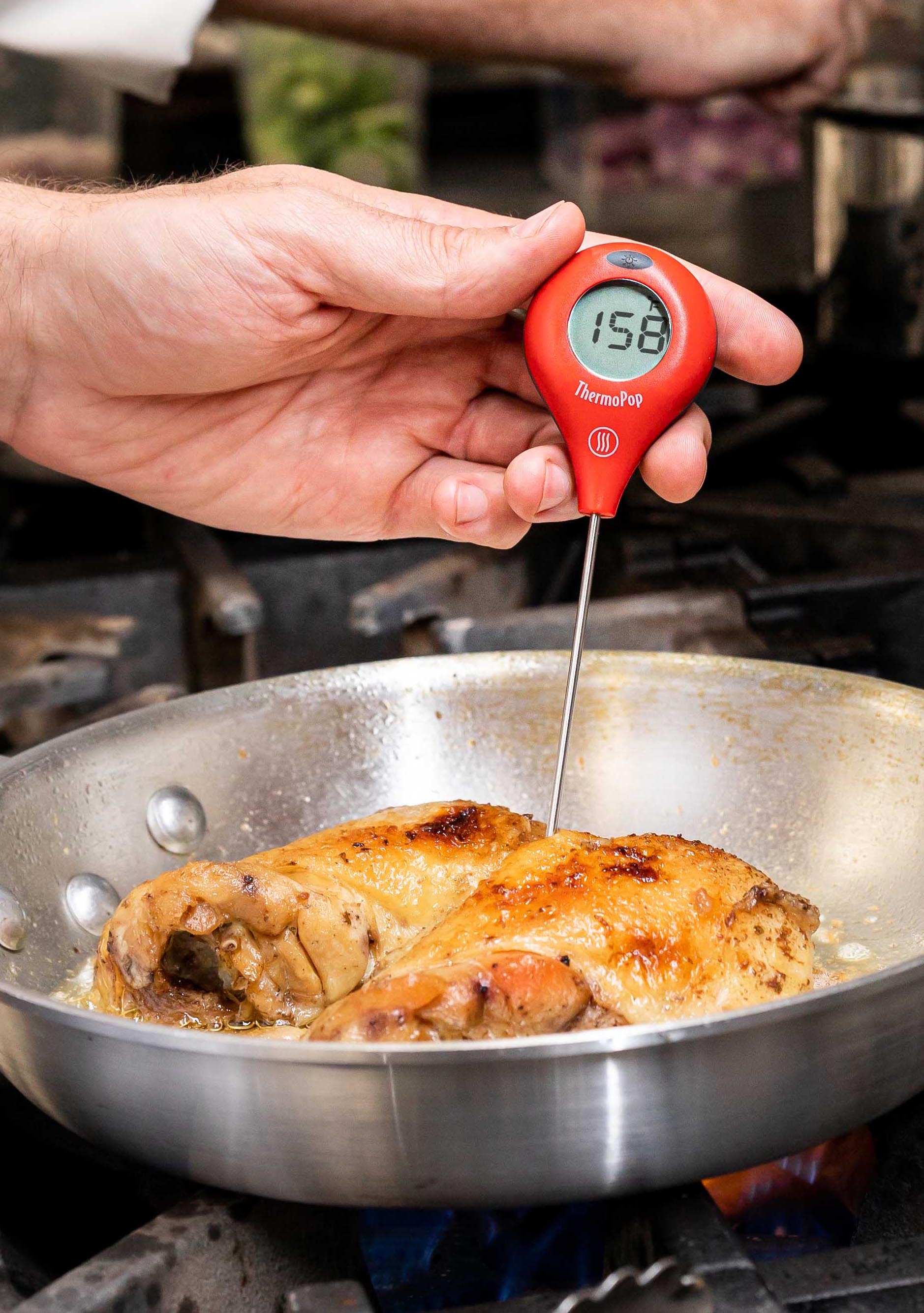 ThermoWorks: Katsu Curry with Breaded Pork Sirloin Chops | Milled