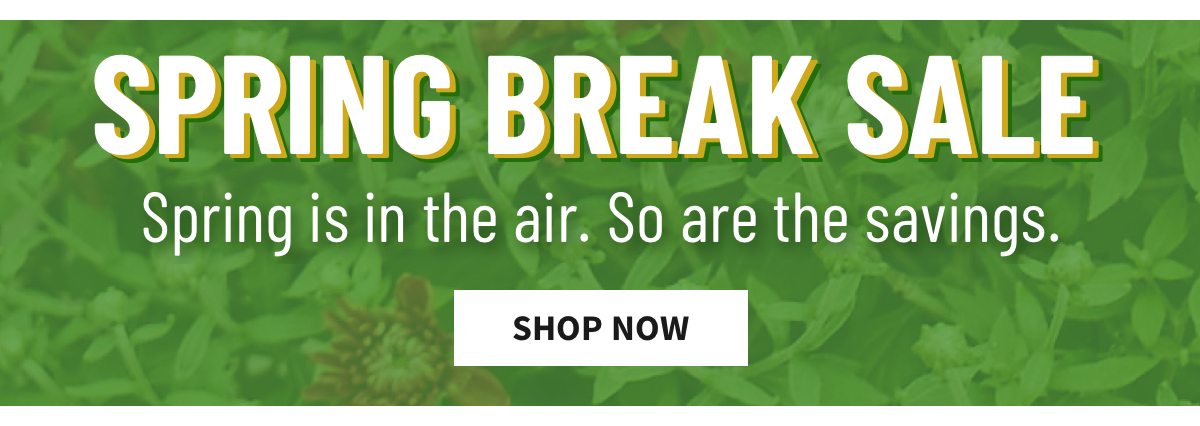 JoS A. Bank: TIME'S ALMOST UP! Our Spring Break Sale ends soon, and you ...