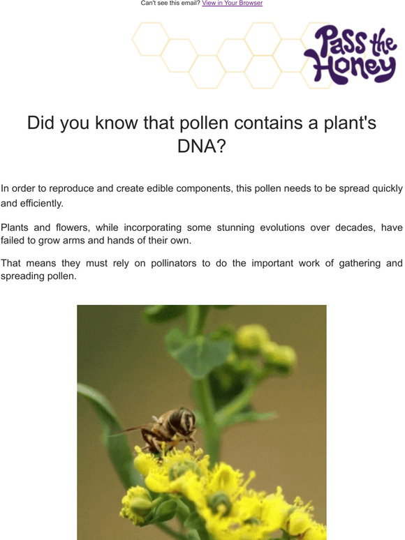 Pass The Honey: Did you know pollen contains a plant's DNA? | Milled