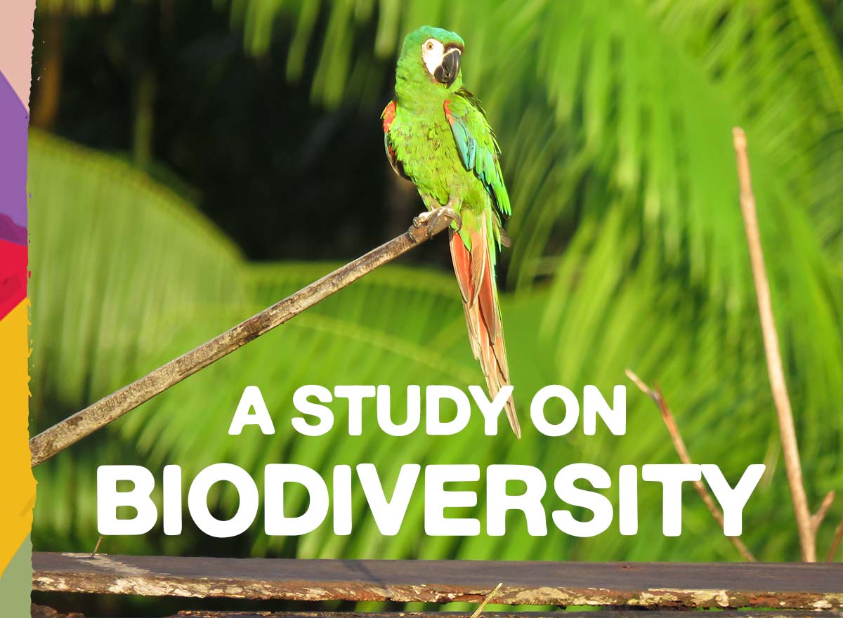 SAMBAZON: Biodiversity Study attests to SAMBAZONs Positive Impact in ...