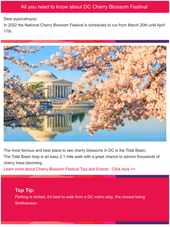Sightseeing Pass: 2022 Cherry Blossom Festival | Milled