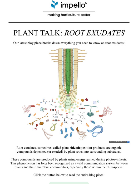 Impello Biosciences: Root Exudates, what are they? | Milled