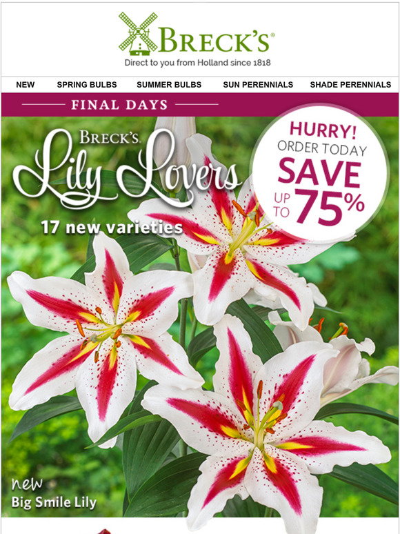 Breck's: Knock, knock. Who's there? Lily. Lily who? | Milled