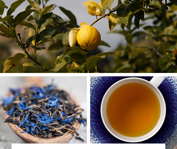 Palais des Thés: Savourez toute la fracheur et la dlicatesse de nos ths ...