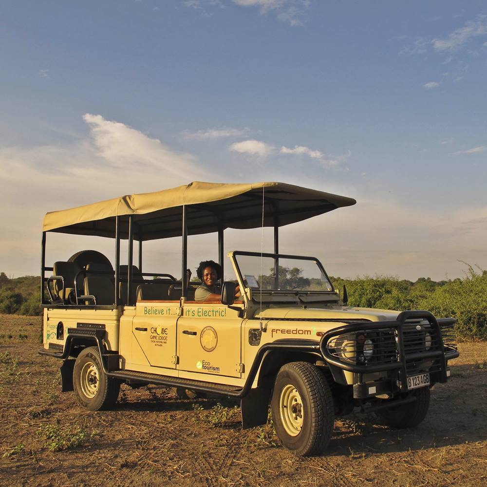Go2Africa: Is this the future of African safaris? | Milled