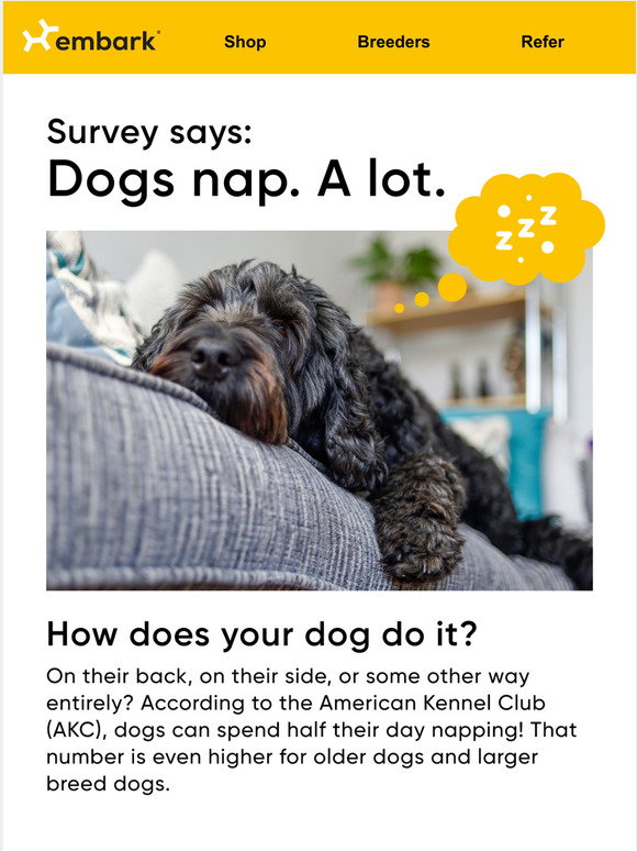 Embark Veterinary: Dogs dont care to spring forward | Milled