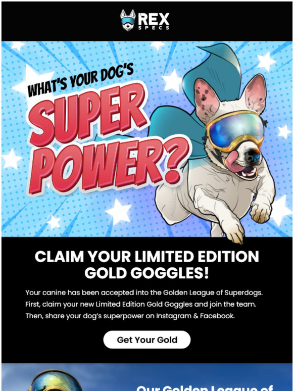 Rex Specs: The New GOLD Goggle + Share Your Dogs GOLDEN Super Power ...