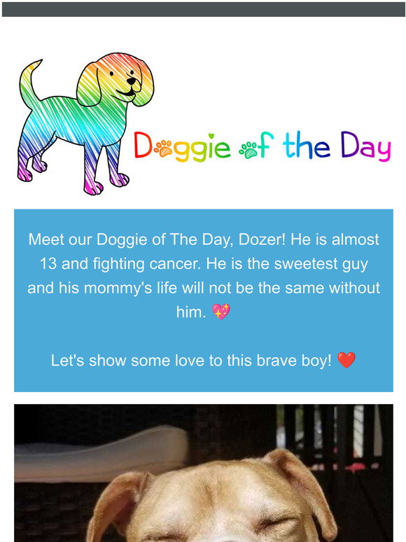 Doggie of the Day: Meet Our Doggie of the Day Dozer Understanding Dog ...