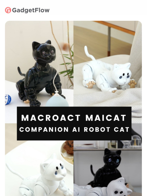 Gadget Flow: Introducing Maicatthe AI robot pet that actually adapts to ...