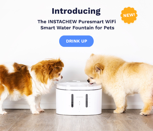 Wagtopia: Introducing: The Smart Water Fountain | Milled