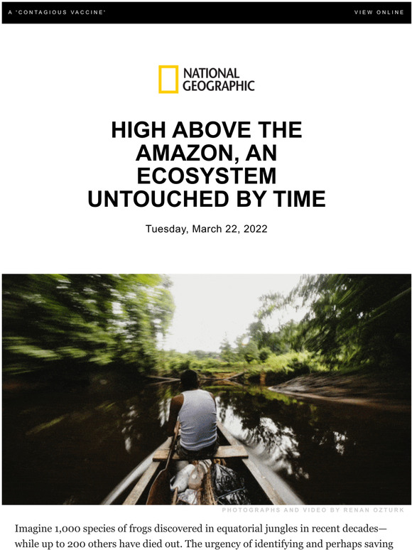 National Geographic: An unexplored world soars high above the Amazon ...