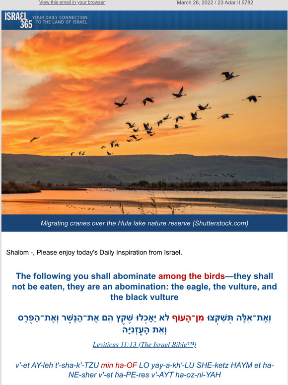 Israel365: How Do We Determine Which Birds Are Kosher? | Milled