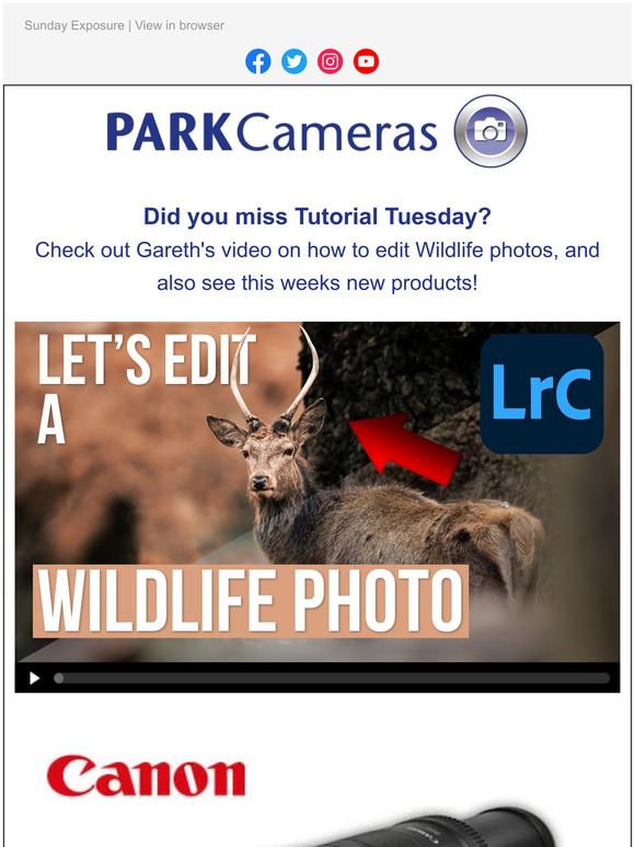 Park Cameras: How to edit wildlife photos | Milled