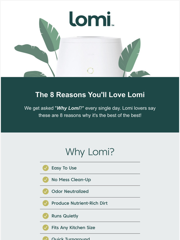 Lomi: The 8 Reasons You Should Add Lomi to Your Routine | Milled