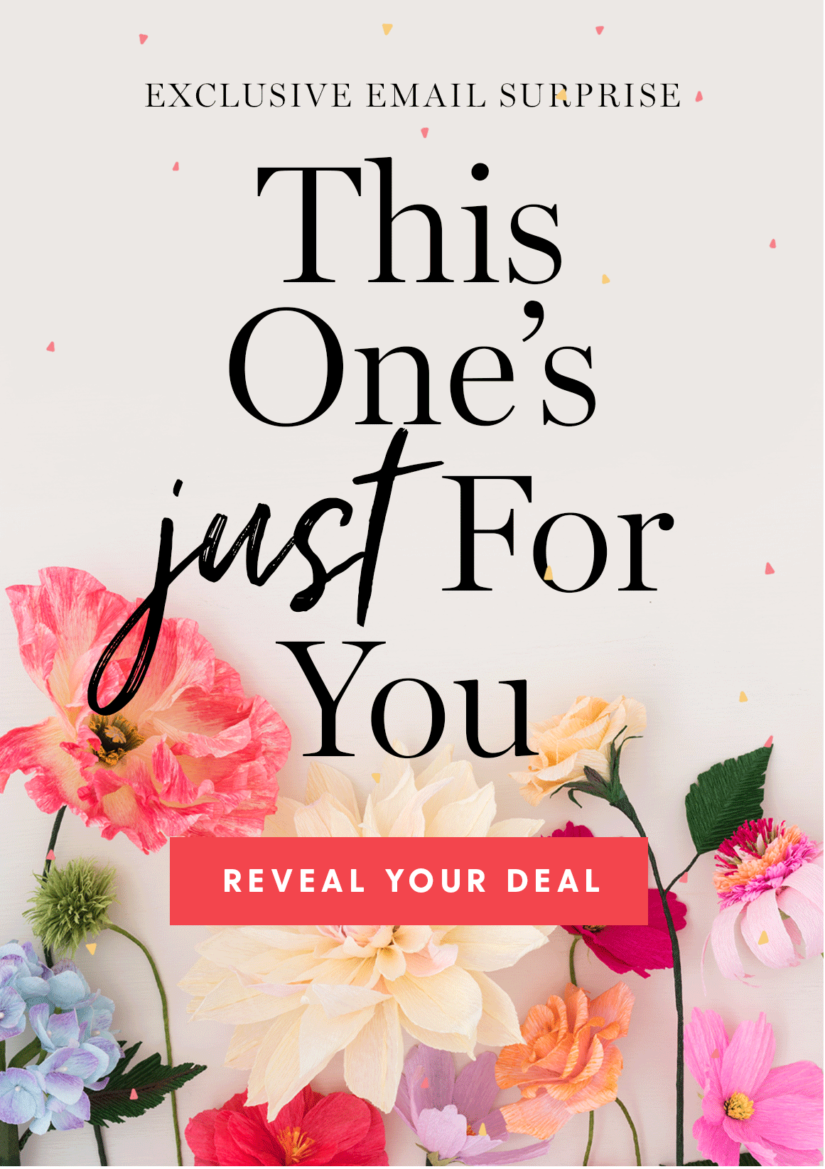 Jane: A big surprise for our favorite email subscriber! | Milled