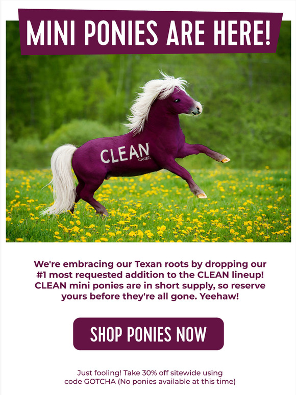 CLEAN Cause: Mini ponies are finally here! | Milled