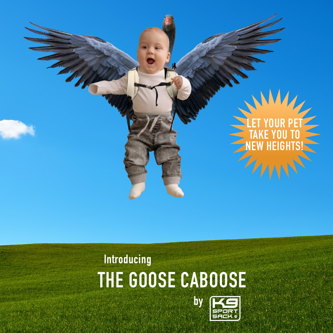 K9 Sport Sack: Meet the All-New Goose Caboose Carrier! | Milled