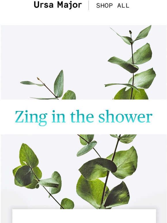 Ursa Major: Zesty morning line-up | Milled