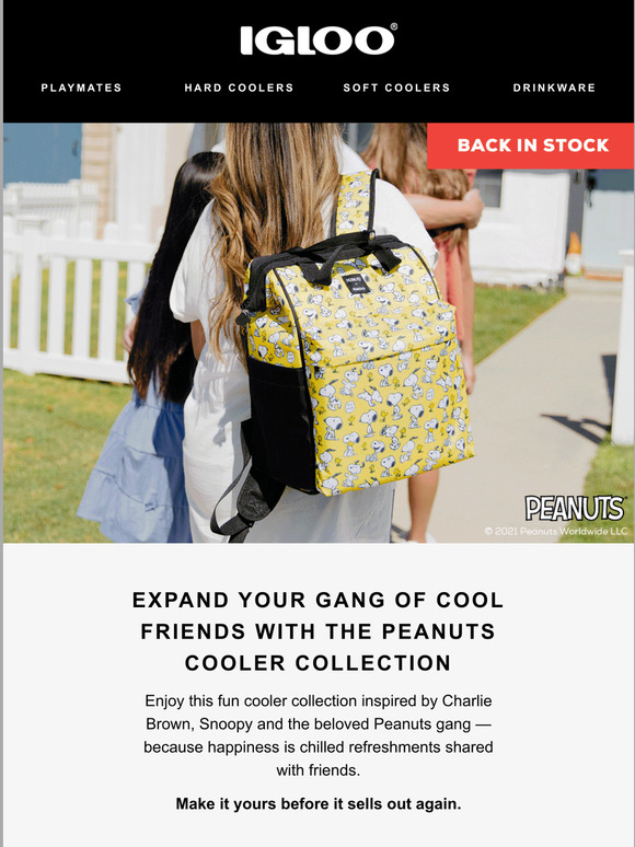 Igloo Coolers: Back in stock: The Peanuts Cooler Collection! | Milled