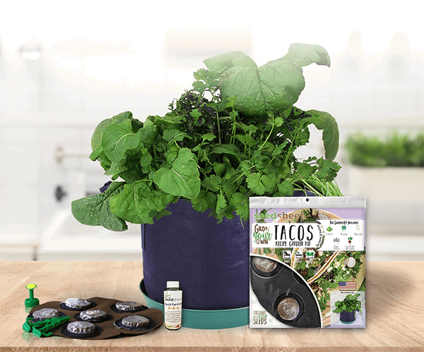 Seedsheet: Grow Your Own Taco Garden | Milled