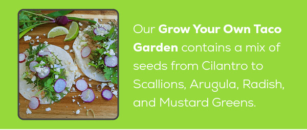 Seedsheet: Grow Your Own Taco Garden | Milled