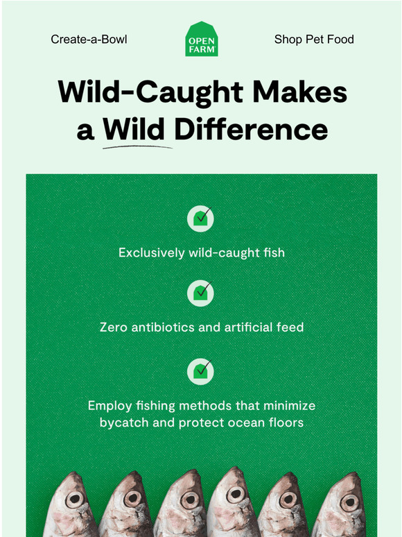 Open Farm: Why are we so fussy about fish? | Milled