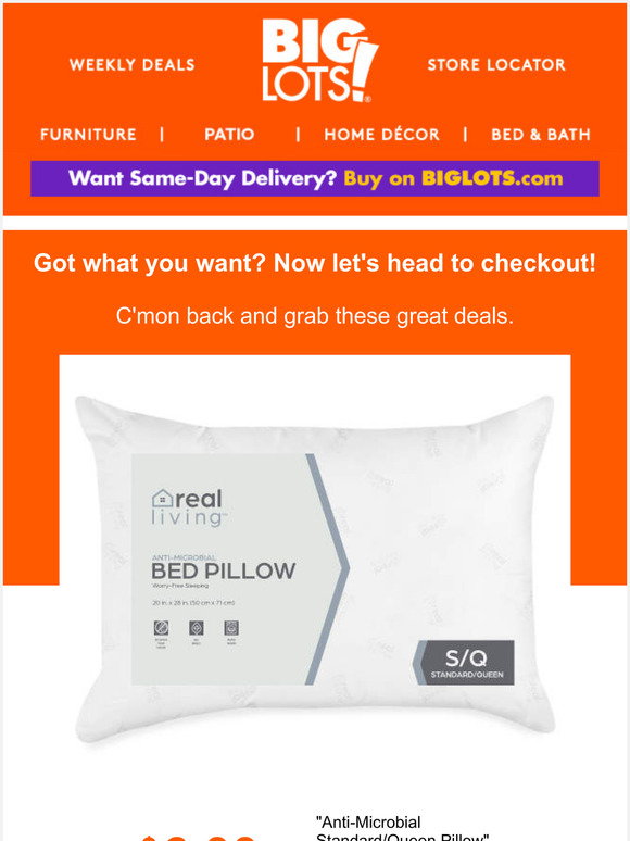Big Lots: Where'd you go? Ready to checkout? | Milled