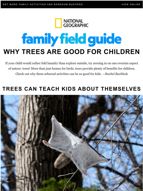 Nat Geo Kids: 4 activities for kids to explore trees | Milled