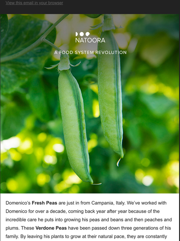Natoora: Fresh Peas in their Pods | Milled