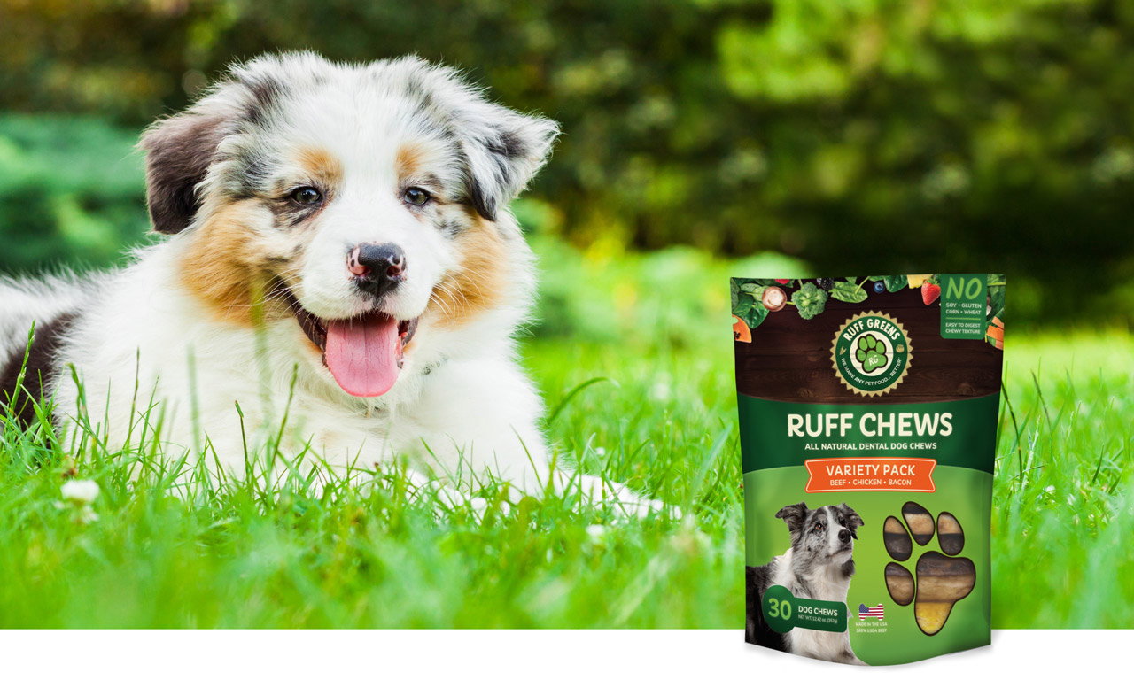 Ruff Greens: Dogs Are Dying After Eating Toxic Treats. Are Yours? | Milled
